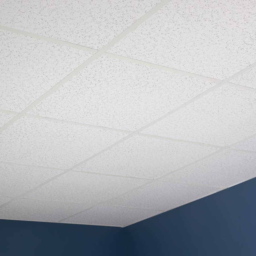 Genesis Printed Pro Ceiling Tiles - ACP Professional