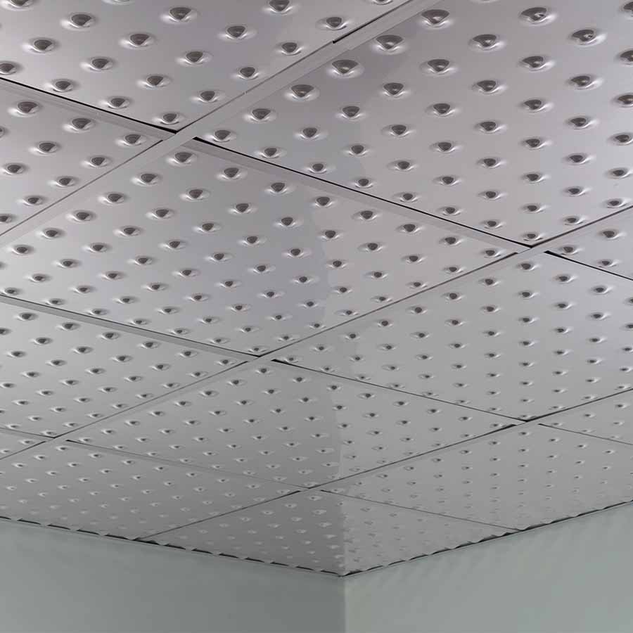 Fasade Ceiling Tile in Dome - ACP Professional